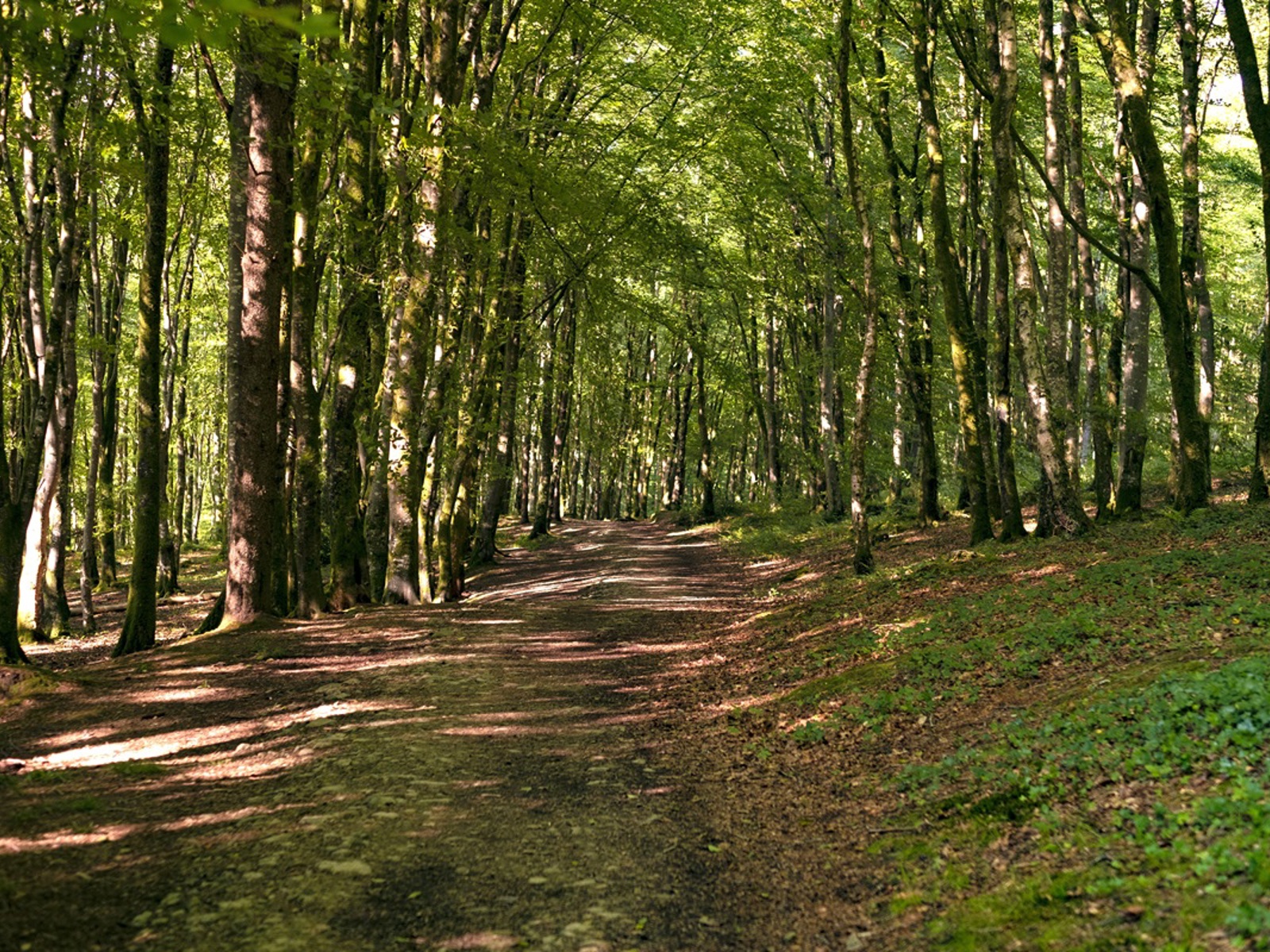 News | Black Pool Mill Restaurant | Pembrokeshire