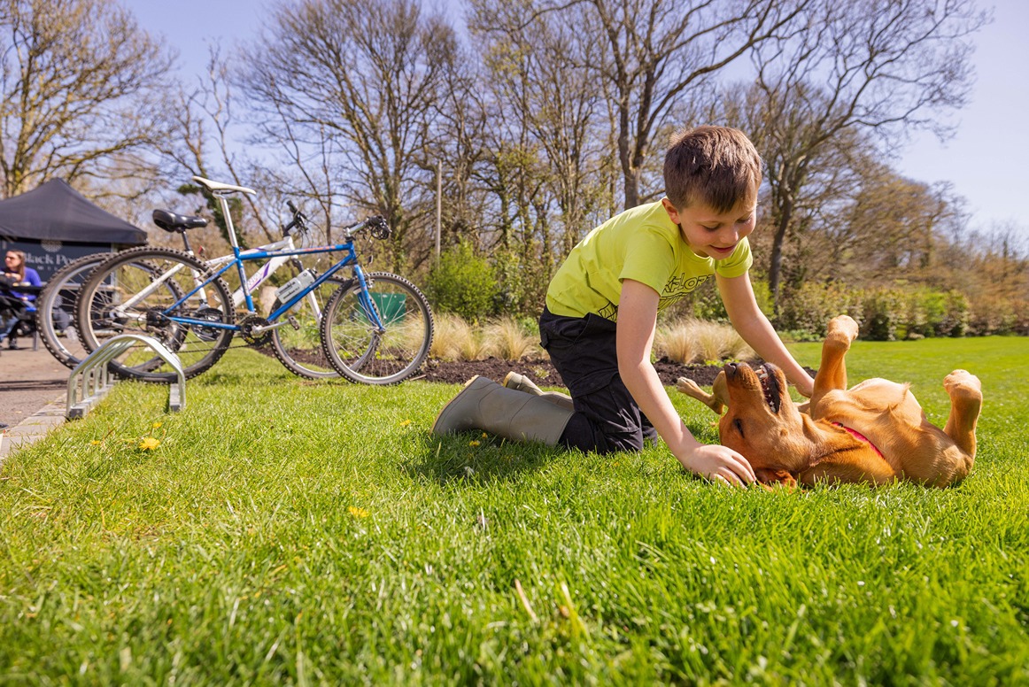 News | Black Pool Mill Restaurant | Pembrokeshire